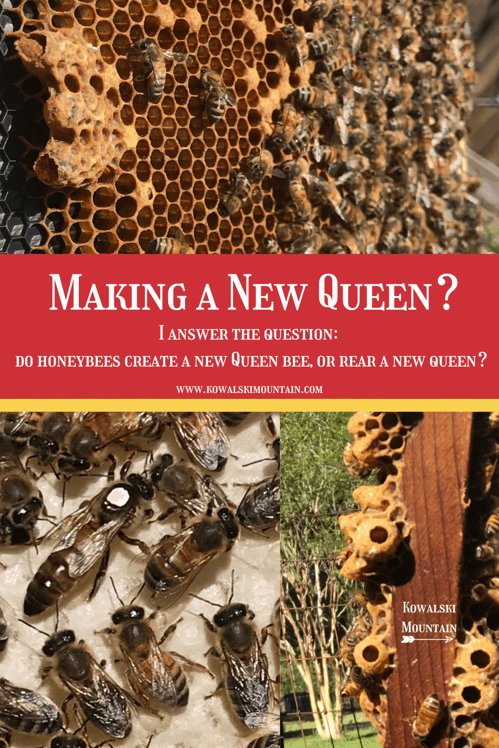 Making a New Queen Bee? » Kowalski Mountain