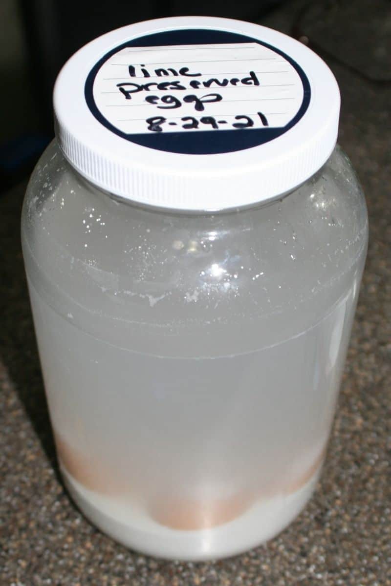 How to Preserve Eggs: A Homestead Experiment » Kowalski Mountain