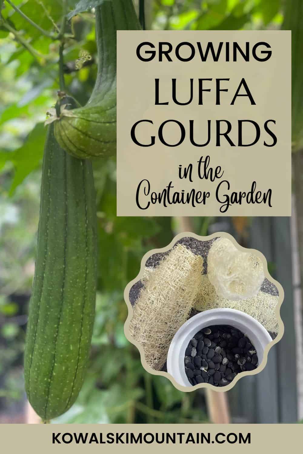 Growing Luffa Gourds in the Container Garden » Kowalski Mountain