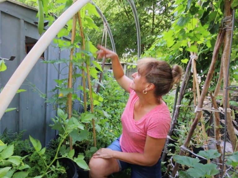 Growing Luffa Gourds in the Container Garden » Kowalski Mountain