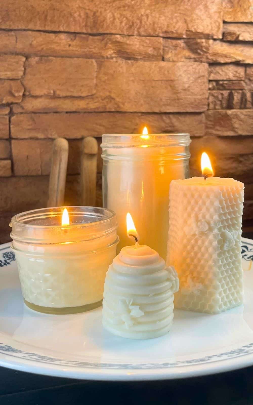 Wild Render: How to Make Deer Tallow » Kowalski Mountain