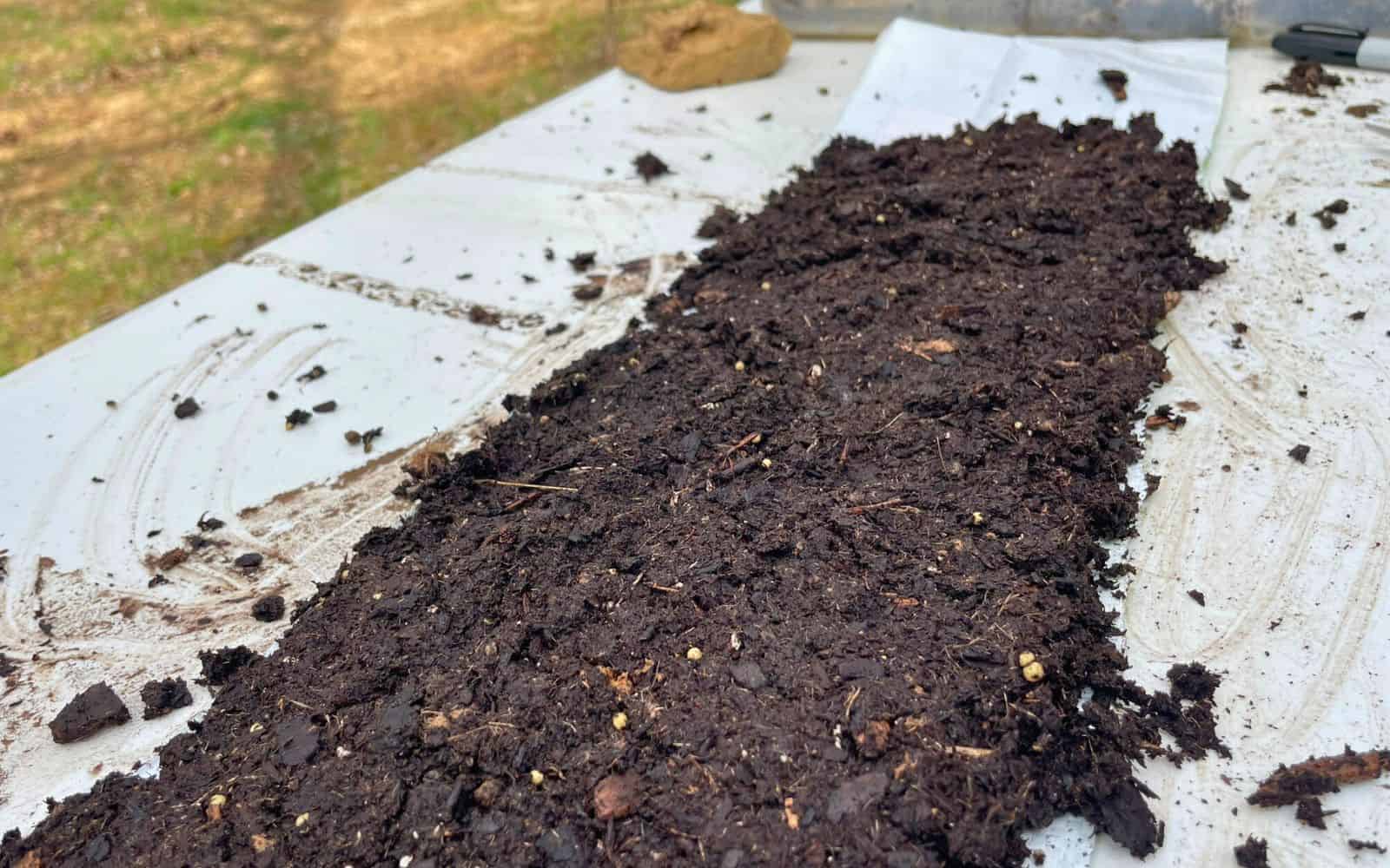 Less Space, Big Results: Seed Snail Growing Method » Kowalski Mountain