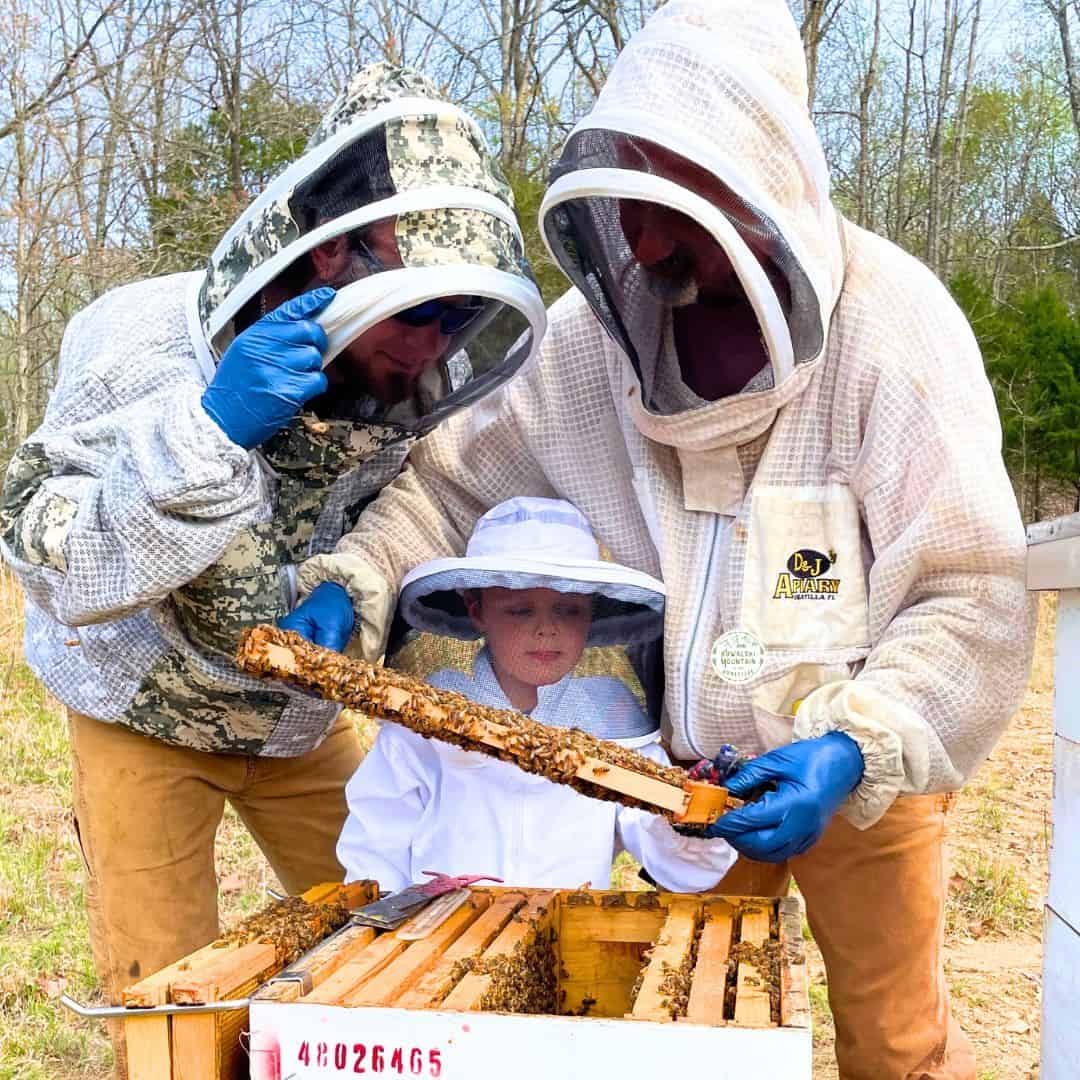 How Much to Start Beekeeping? Your Complete Guide » Kowalski Mountain