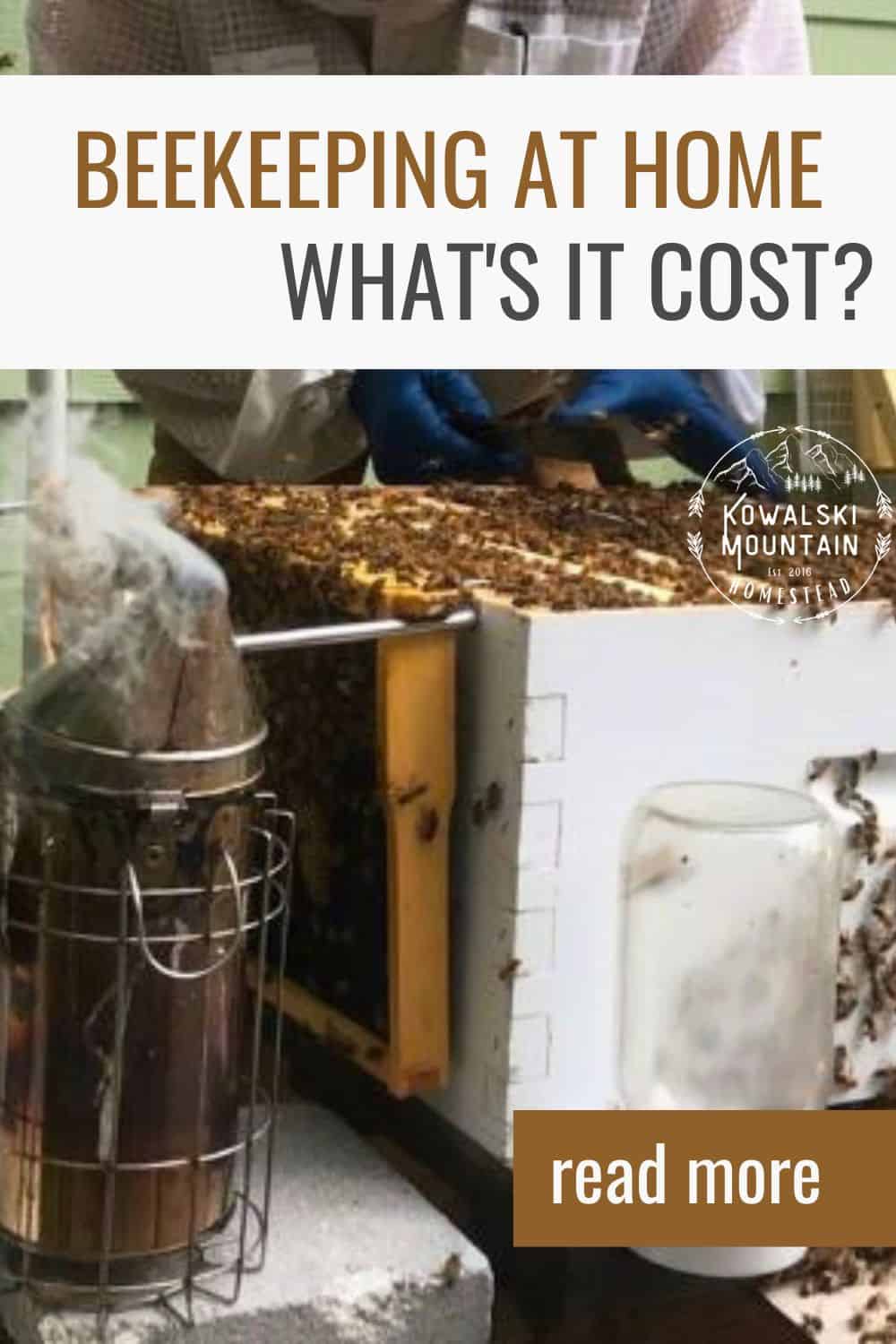 How Much to Start Beekeeping? Your Complete Guide » Kowalski Mountain