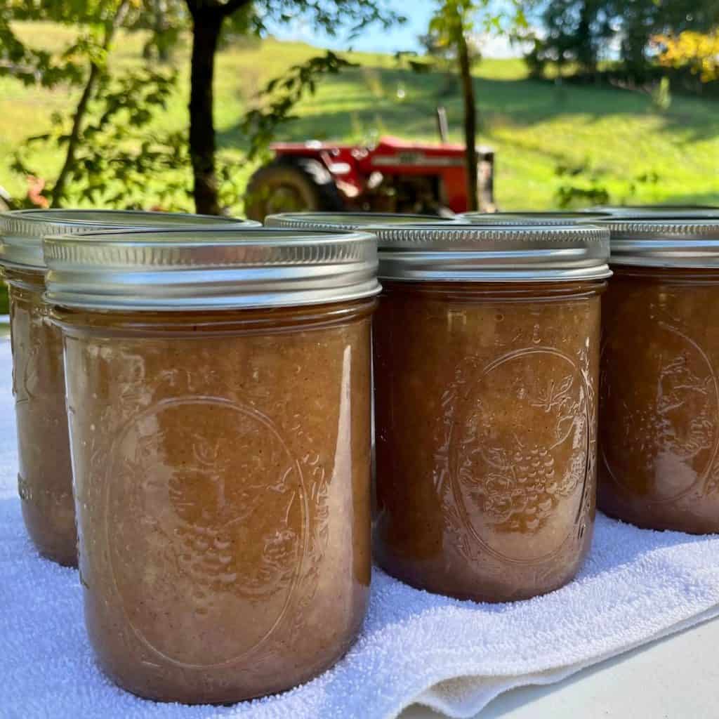 How to Choose the Best Mason Jars for Canning » Kowalski Mountain
