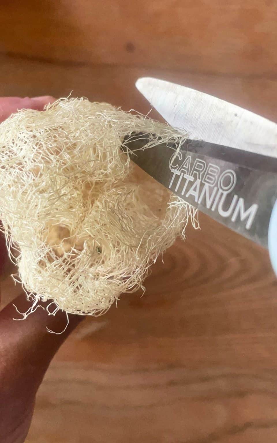 Easy Tutorial: How to Make Sponges from Luffa Gourds » Kowalski Mountain