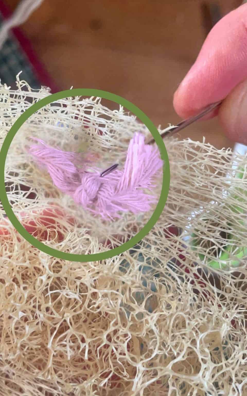 Easy Tutorial: How to Make Sponges from Luffa Gourds » Kowalski Mountain