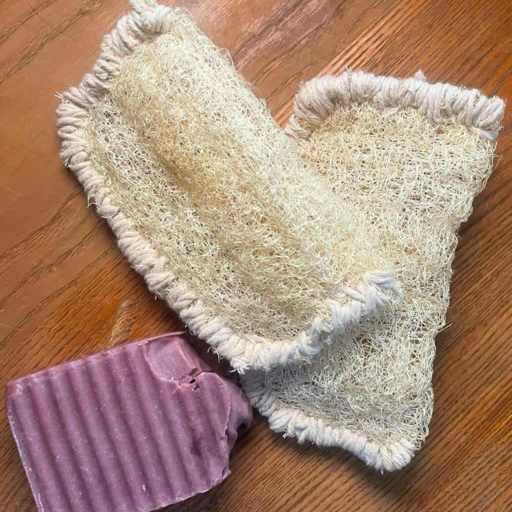 Easy Tutorial: How to Make Sponges from Luffa Gourds » Kowalski Mountain