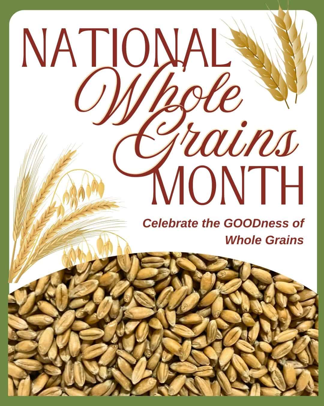 Best Whole Grains for Milling: How to Make Freshly Ground Flour at Home ...