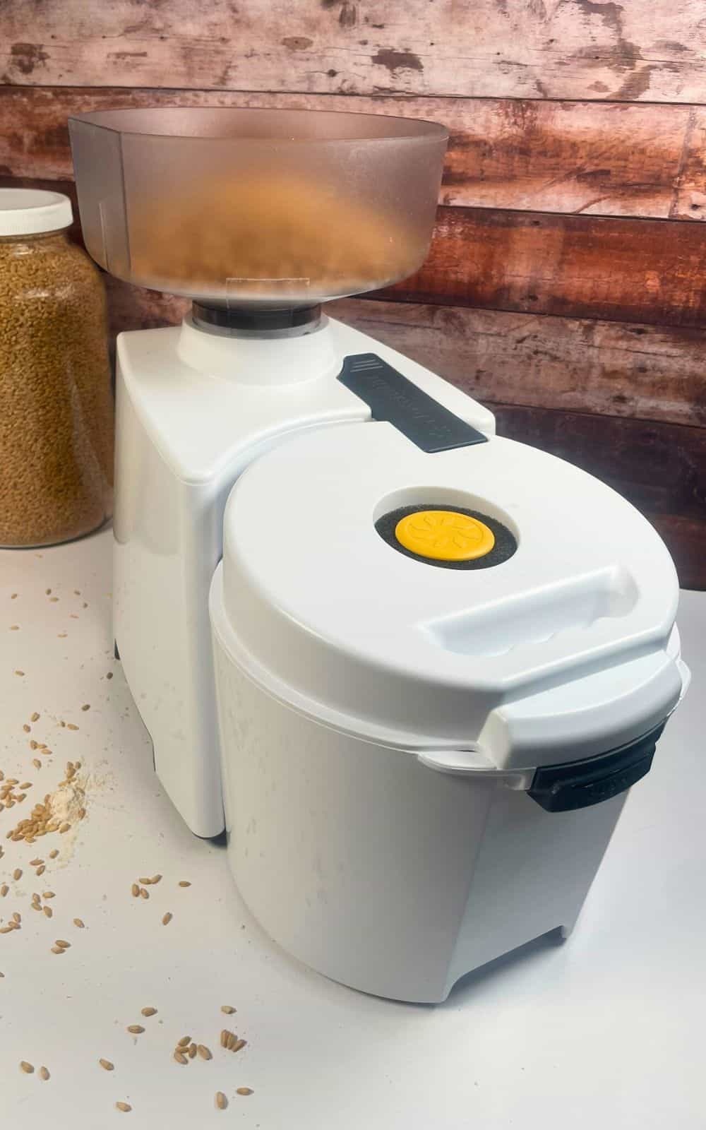 Beginner’s Guide: How To Mill Flour At Home With Fresh Grain » Kowalski ...